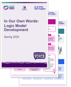 In Our Own Words: Logic model workshops - Unity Insights